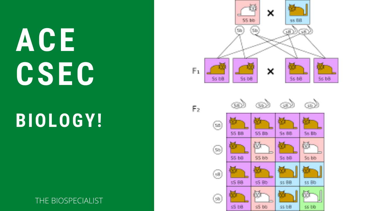 Ace CSEC Biology! - Trini Tutor